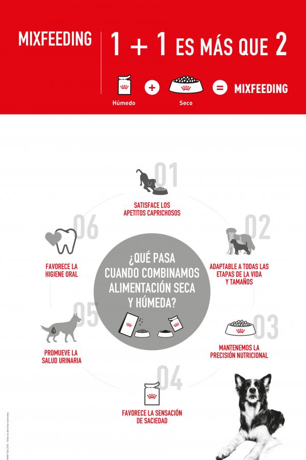 Mixfeeding, la combinación perfecta entre alimentación seca y húmeda ...