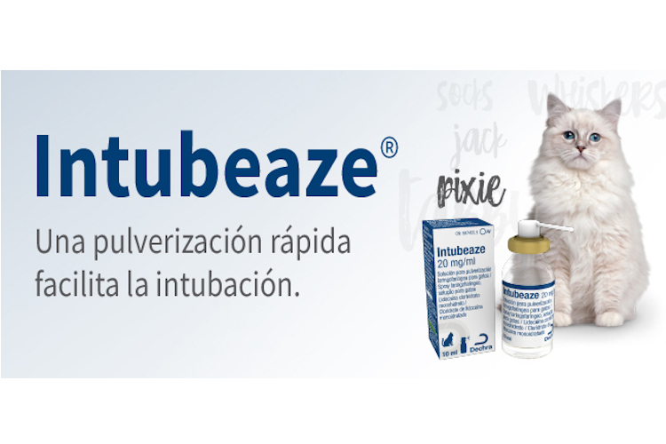Dechra Veterinary Products lanza Intubeaze® para facilitar la ...