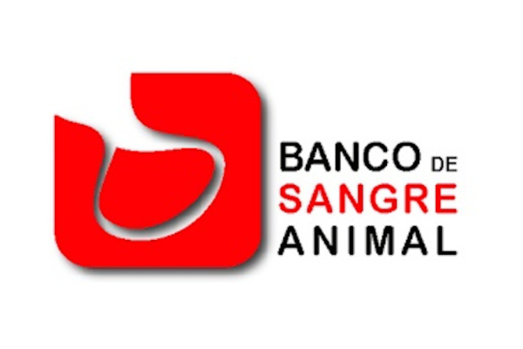 El Banco de Sangre Animal realiza 5 000 transfusiones de sangre anuales ...
