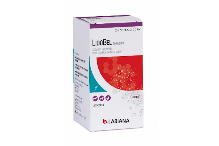 LabianaPets presenta LidoBel 16 mg/ml solución inyectable | IM Veterinaria