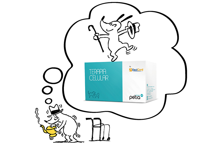 Equicord se alía con Petia Vet Health para potenciar el servicio de ...