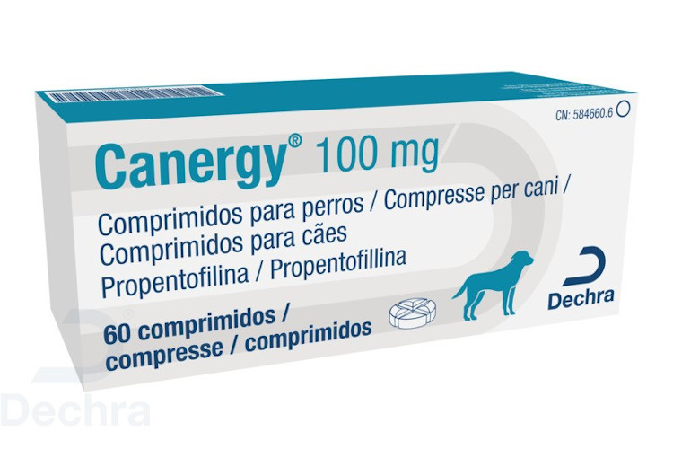 Canergy propentofilina vuelve a estar disponible en el mercado | IM ...