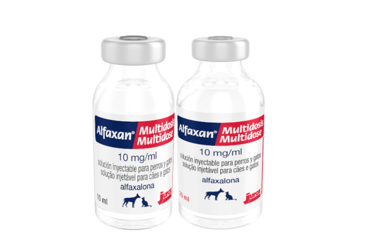 Dechra dejará de comercializar Alfaxan multidosis | IM Veterinaria