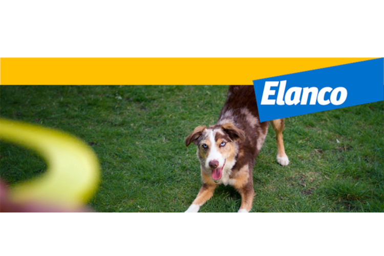 Elanco estrena la primera serie para veterinarios | IM Veterinaria