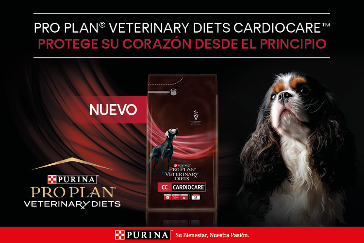 Purina lanza la dieta Cardiocare un nuevo abordaje nutricional para la ...