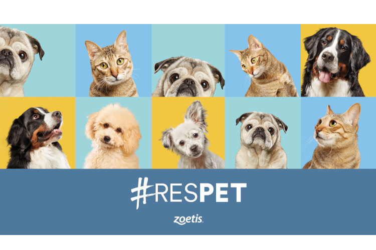 Cuatro historias reales e inspiradoras reflejo de #RESPET | IM Veterinaria