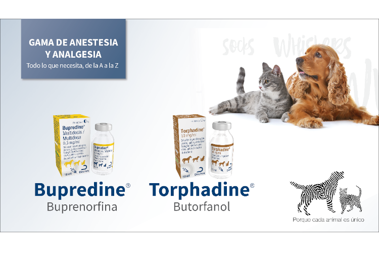 Dechra completa su gama de opioides para uso veterinario | IM Veterinaria