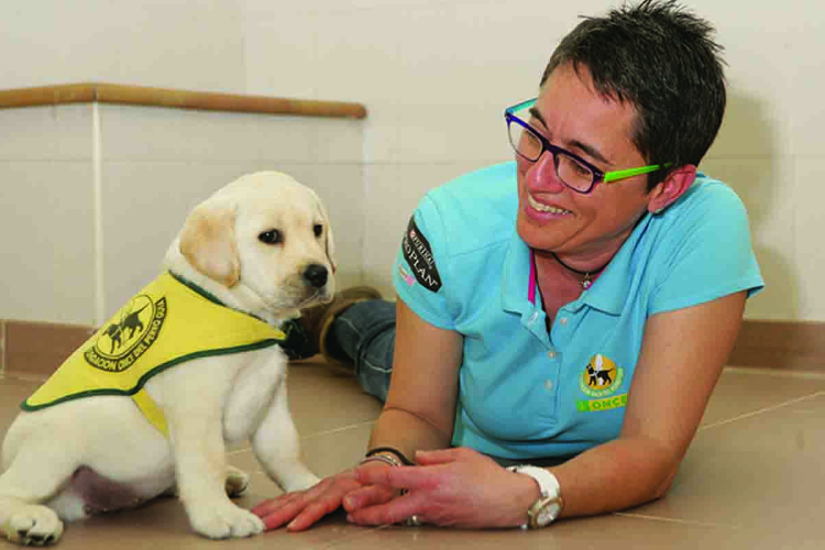 Purina y la Fundación ONCE del Perro Guía siguen apostando por las ...