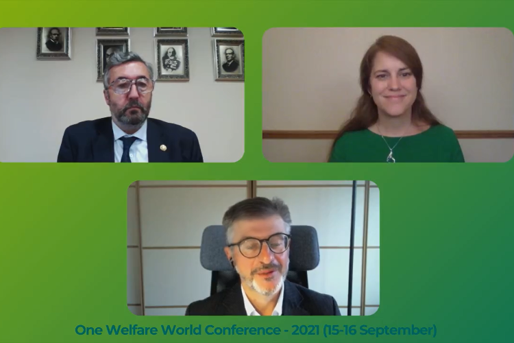 El concepto ´One Welfare´ completa al de ´One Health´ | IM Veterinaria