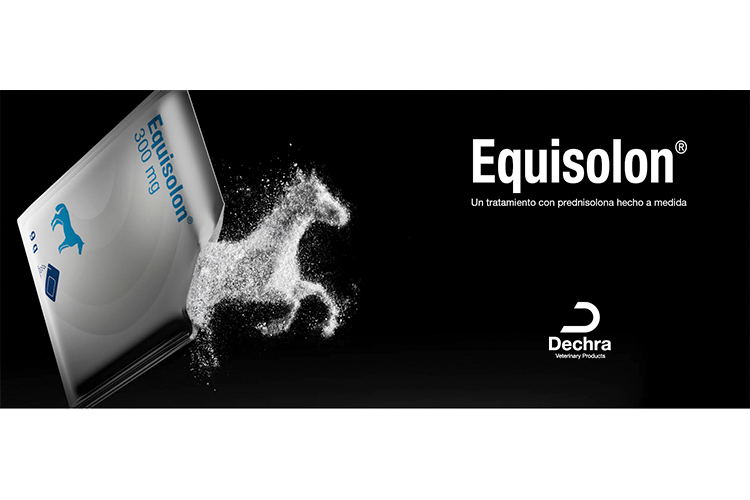 Equisolon de Dechra: alivio de la obstrucción respiratoria en caballos ...