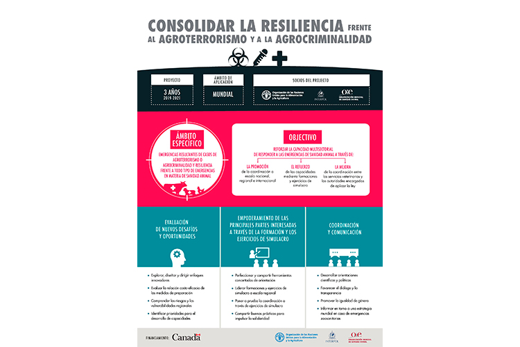 Varias agencias de la ONU colaboran en un proyecto contra el ...