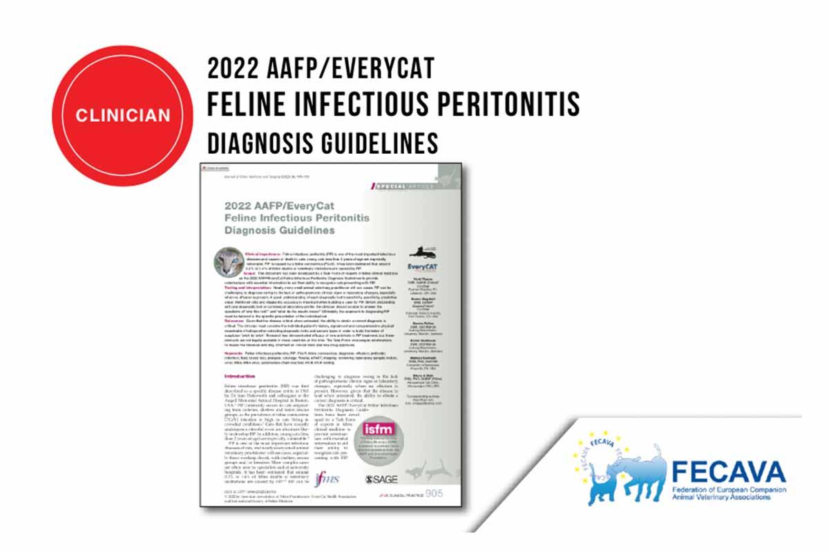 Pautas de diagnóstico de peritonitis infecciosa felina FIP 2022 | IM ...
