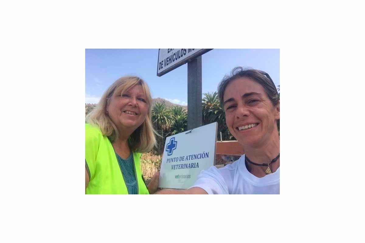 Andrea Sabine, Premio Bienestar Animal 2022, otorgado por el Colegio de Veterinarios de Las ...