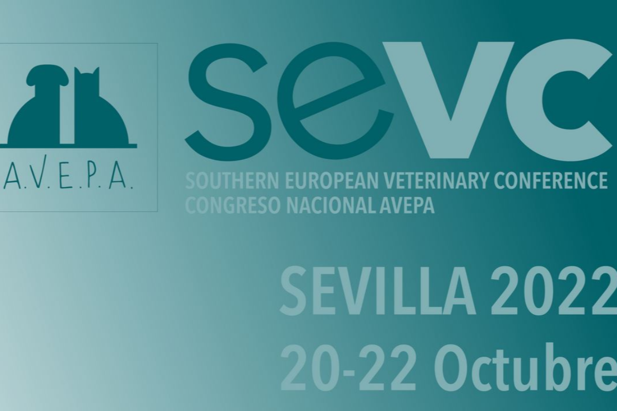 Encuentro entre las Juntas de AVEPA y AMVAC durante el congreso nacional de AVEPA de Sevilla ...