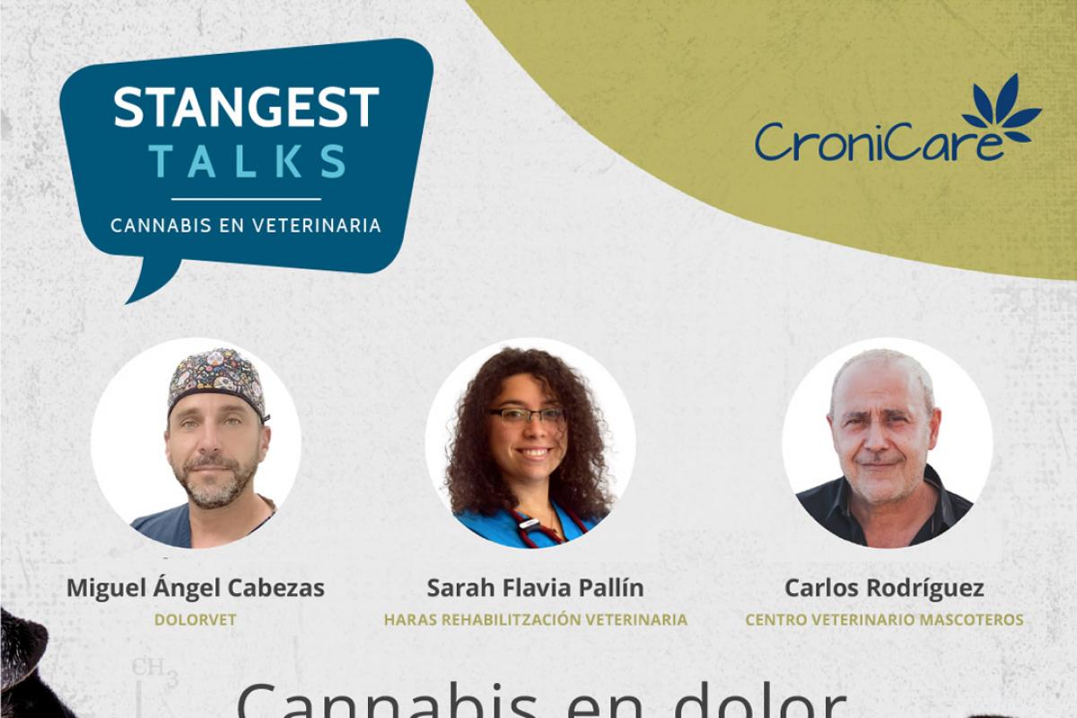 La primera edición de Stangest Talks se centrará en las aplicaciones del Cannabis en dolor | IM ...