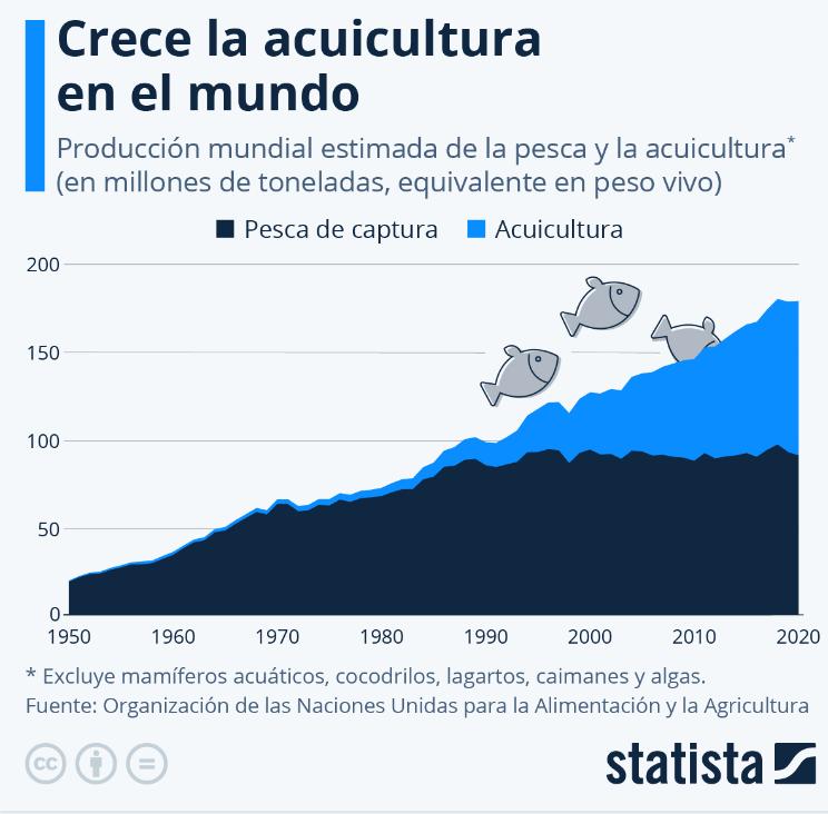 La acuicultura ya representa la mitad de la producción mundial de ... La acuicultura ya representa la mitad de la producción mundial de ...