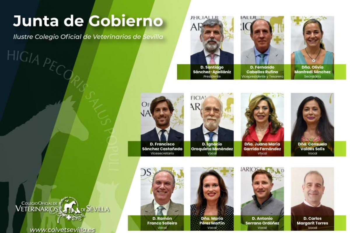Se constituye la Nueva Junta de Gobierno del Colegio Oficial de Veterinarios de Sevilla | IM ...