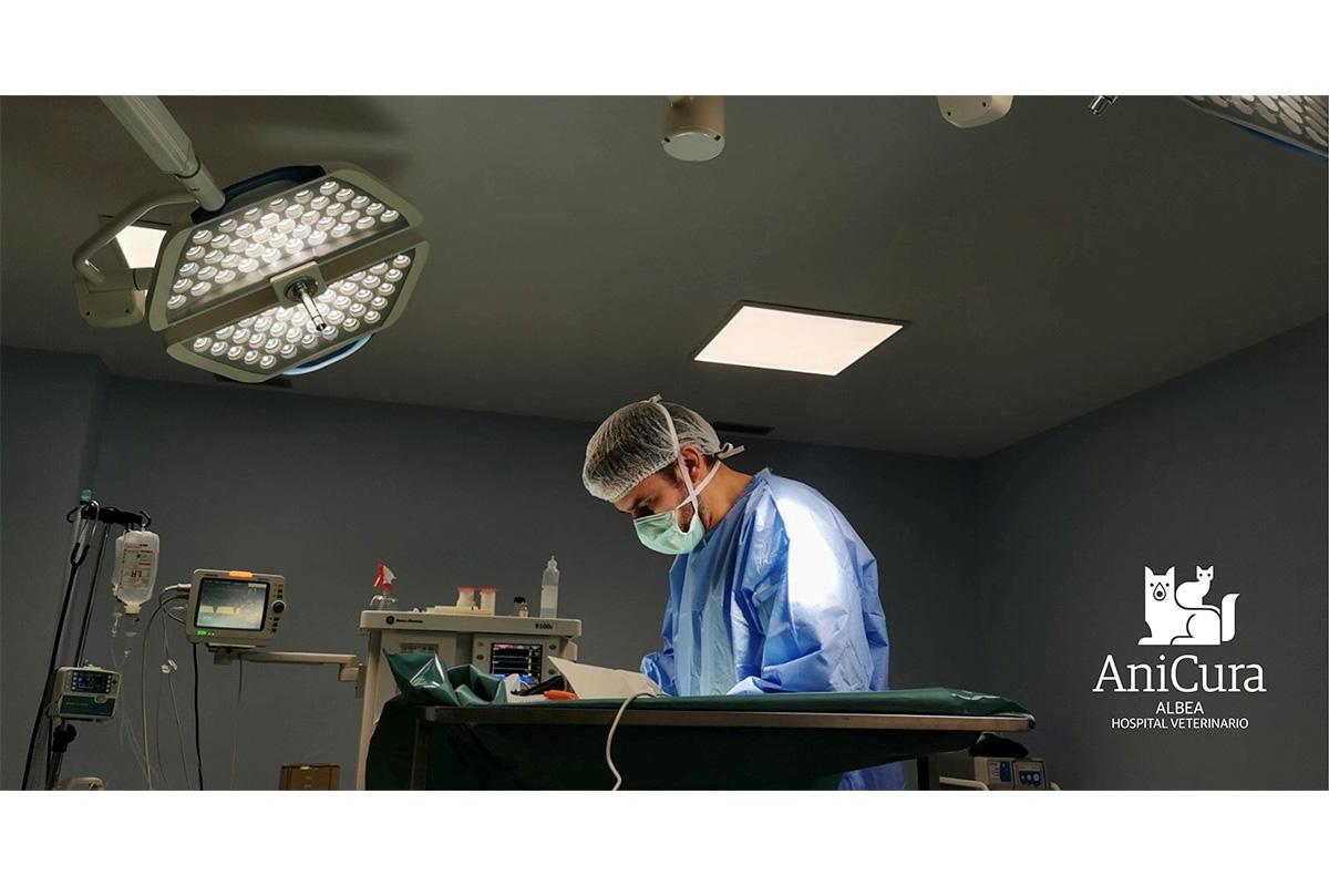 AniCura Albea Hospital Veterinario estrena nueva localización para ...
