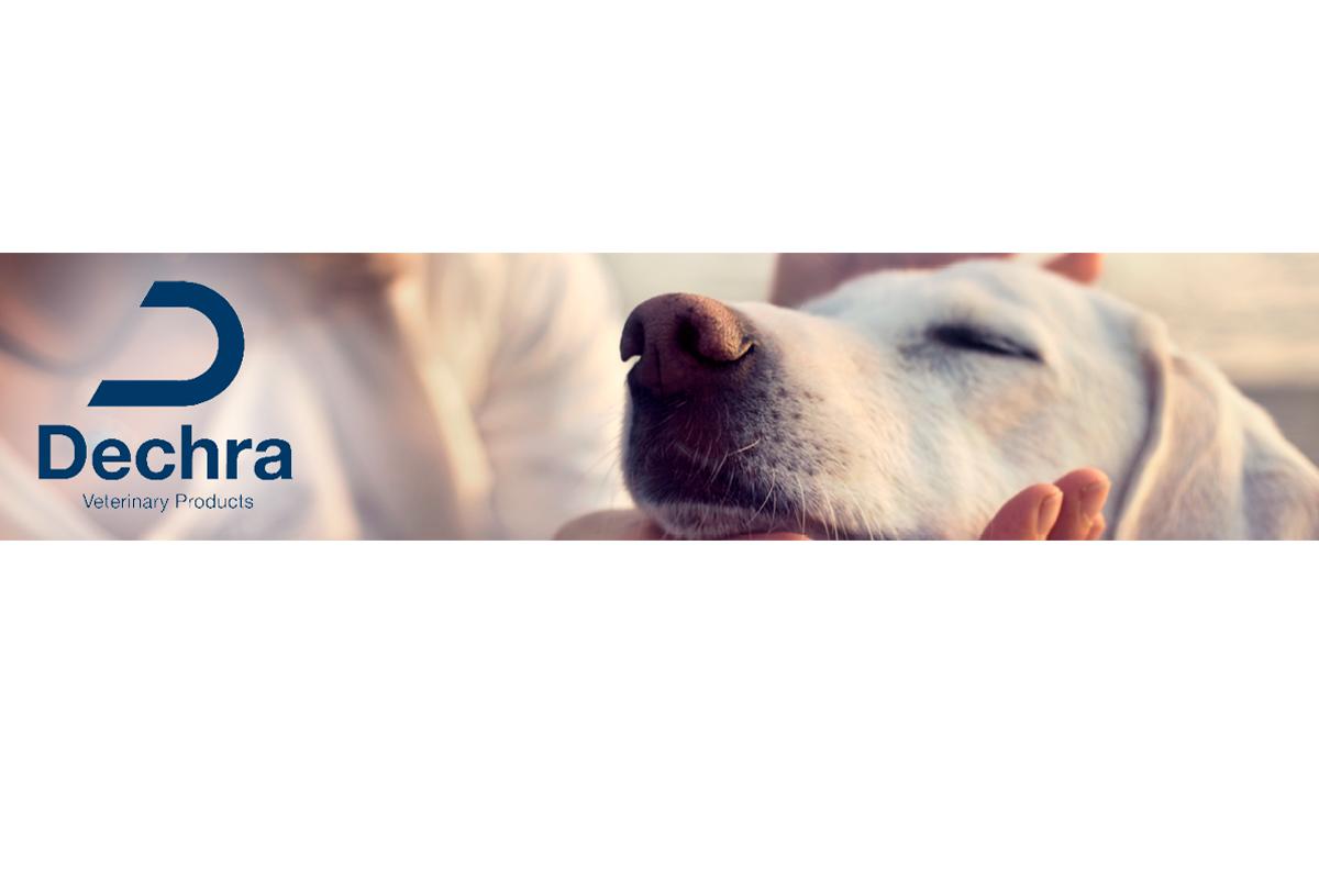 Dechra participará en Iberzoo+Propet y presentará sus últimas novedades ...