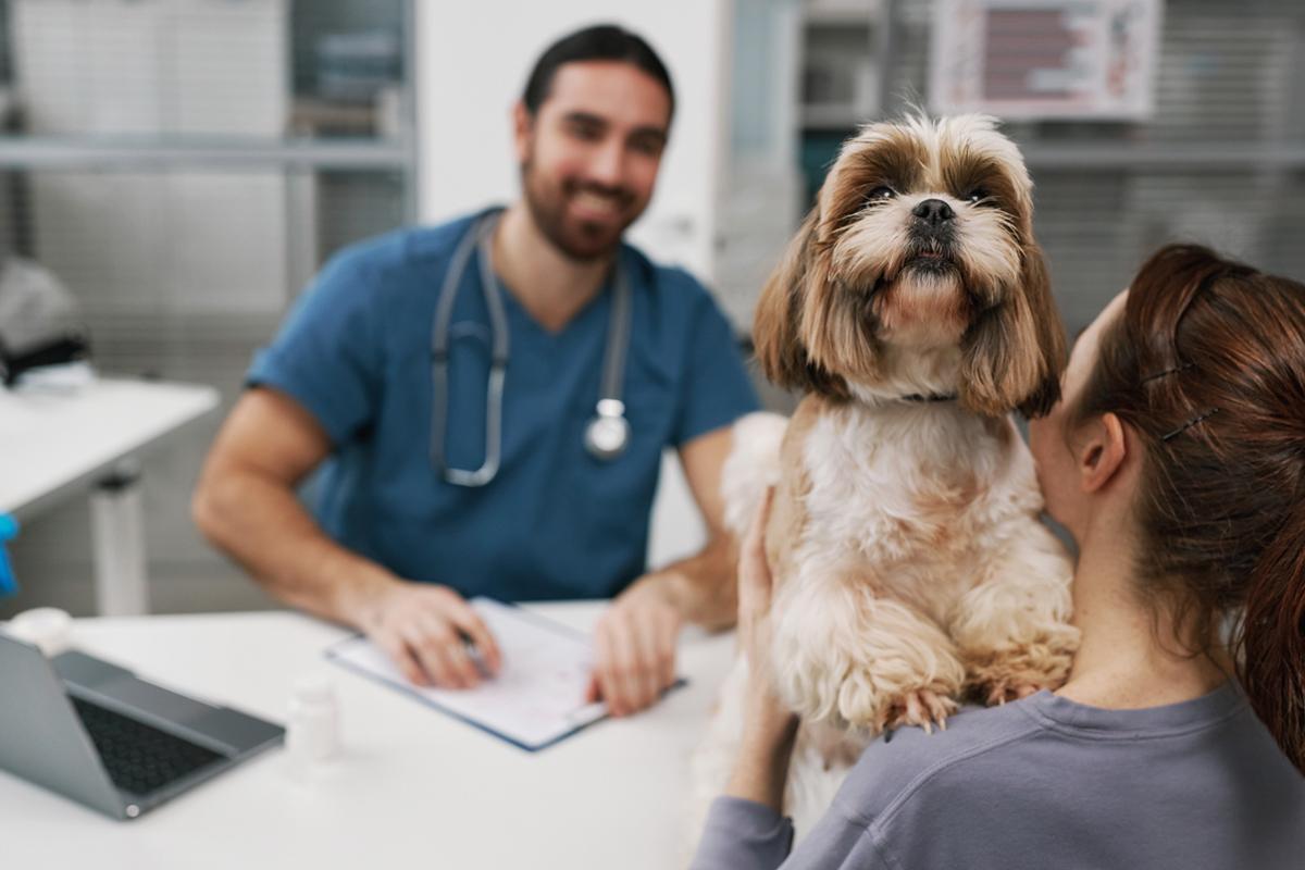 El futuro de la clínica independiente | IM Veterinaria