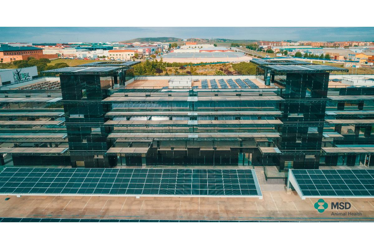 Msd Animal Health Headquarters at Sarah Alanson blog