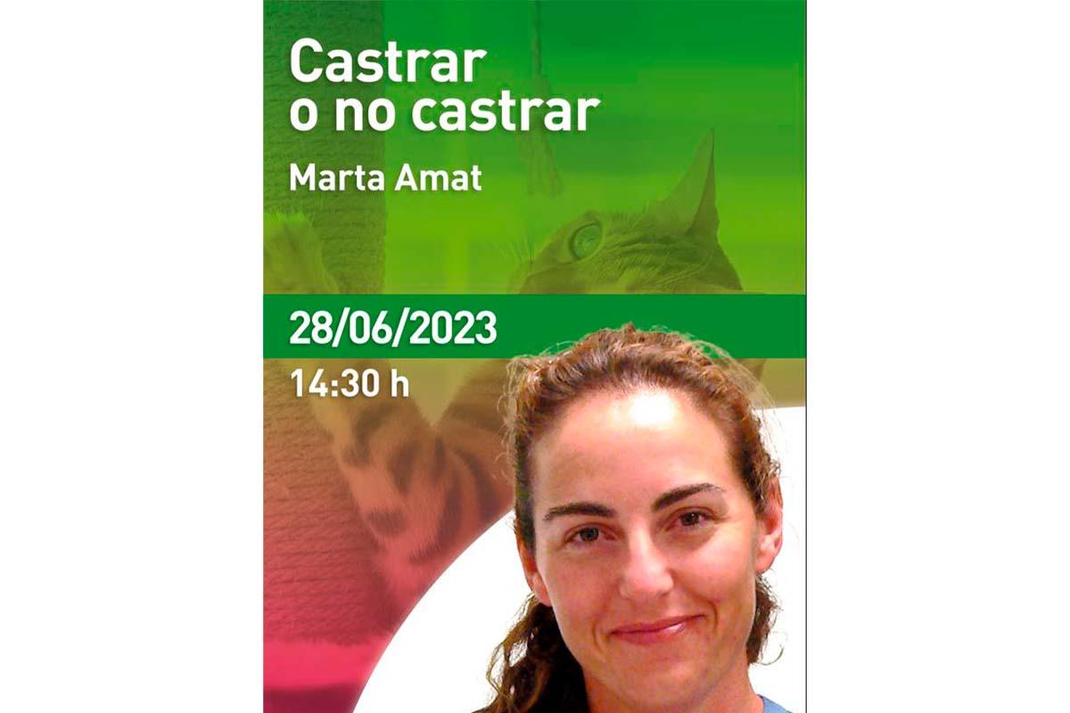 Castrar o no castrar Webseminar de Vetoquinol aborda los efectos de la ...