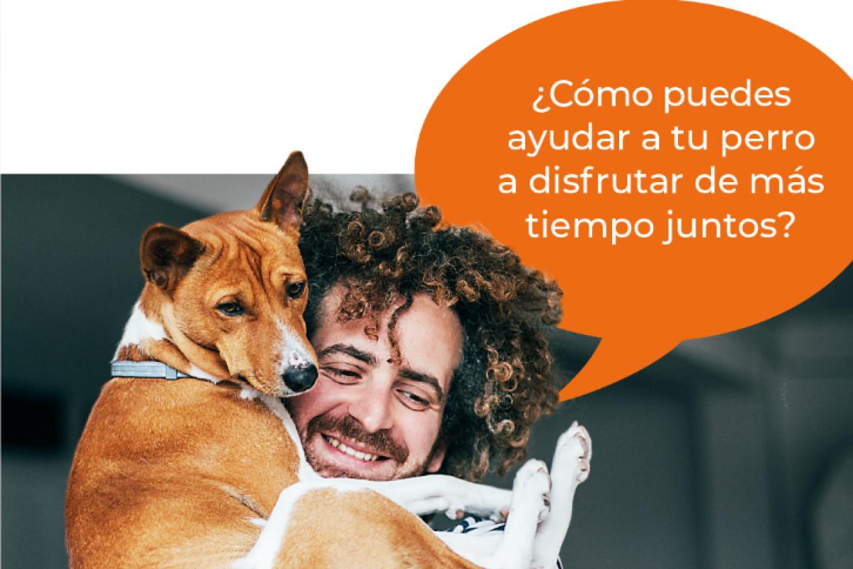 Ceva Salud Animal lidera la lucha contra la insuficiencia cardiaca en ...