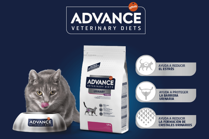 Advance Urinary Stress una dieta que ayuda a controlar el estrés en ...