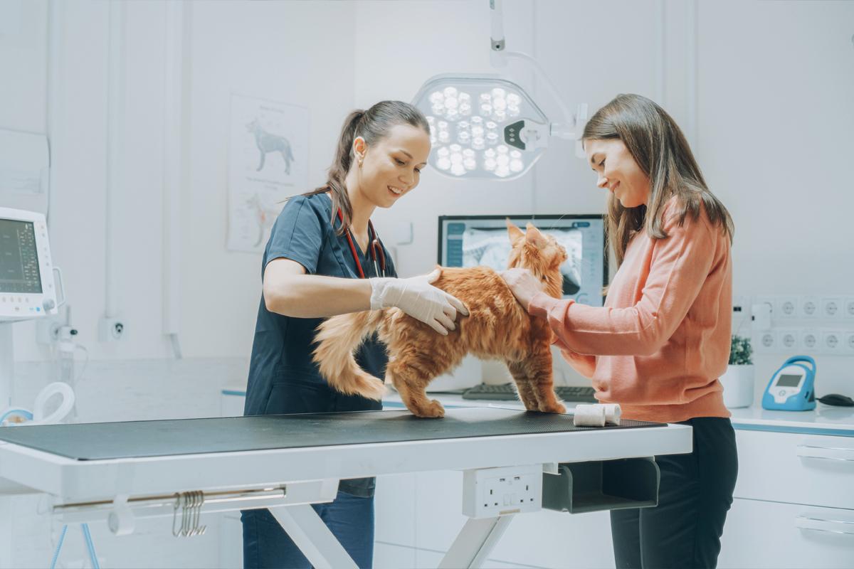 El binomio veterinaria y mujer se hace fuerte | IM Veterinaria