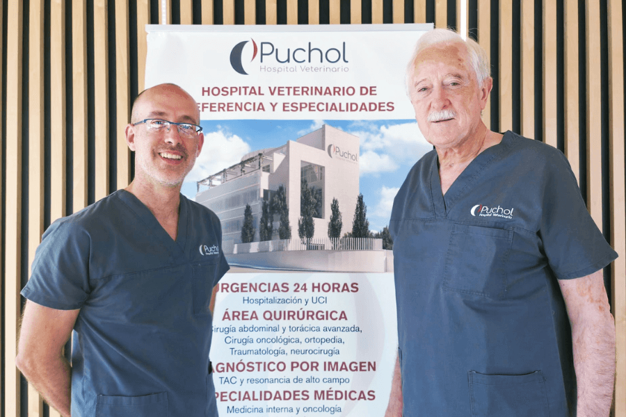 El Hospital Veterinario Puchol amplía su servicio de Neurología de la ...