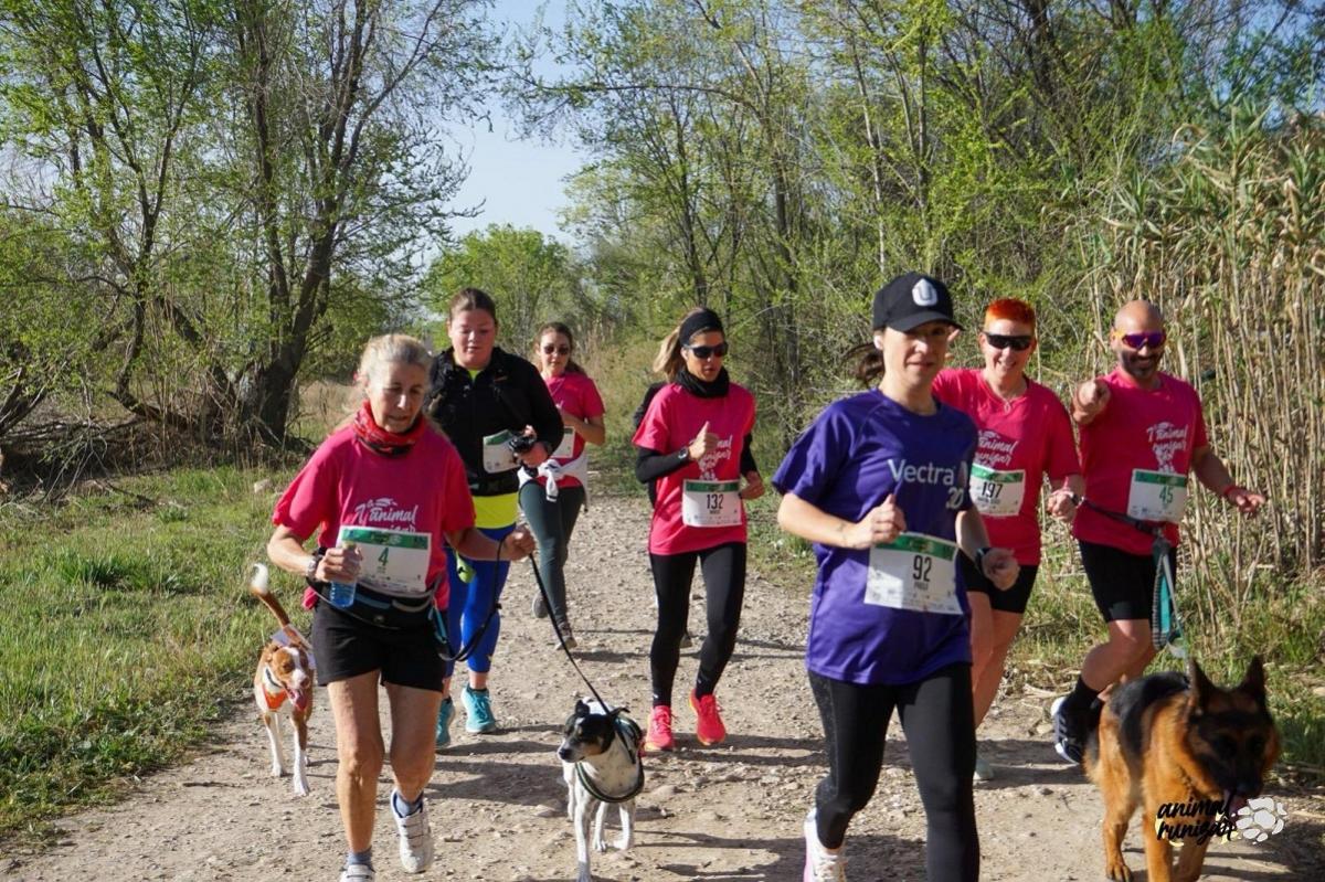 Vectra 3D y Ceva Salud Animal: comprometidos con la salud animal en ...