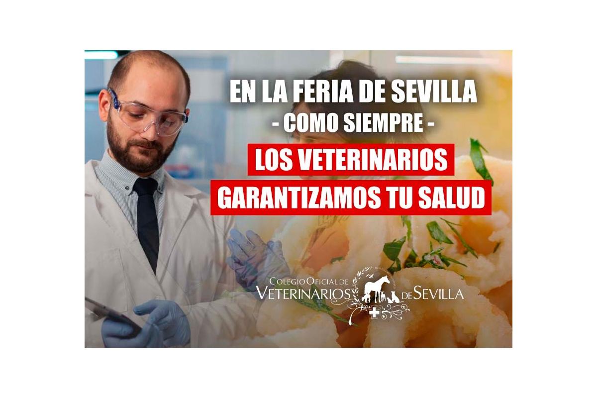 Los Veterinarios De Sevilla Promueven Una Campaña Por Seguridad