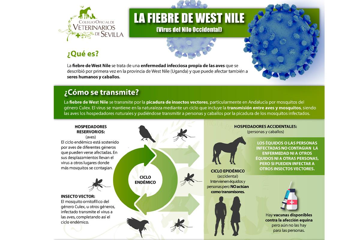 Comienza el programa de Control del Virus del Nilo Occidental en Andalucía | IM Veterinaria